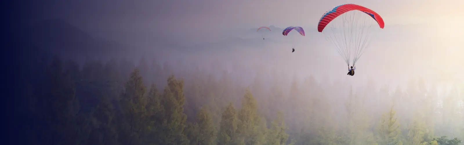 Strategy Execution Consulting Adaptivity Llc